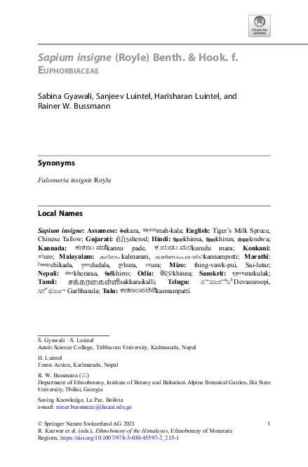 (PDF) Sapium insigne (Royle) Benth. Hook. f. Euphorbiaceae