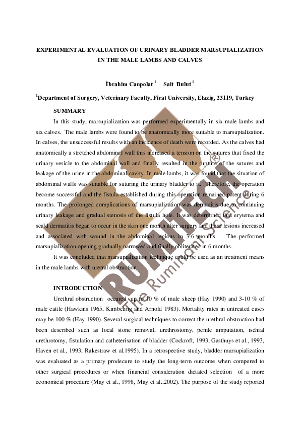 (PDF) Experimental Evaluation of Urinary Bladder Marsupialization in ...