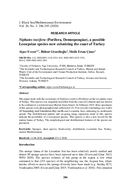 (PDF) Niphates toxifera (Porifera, Demospongiae), a possible Lessepsian ...