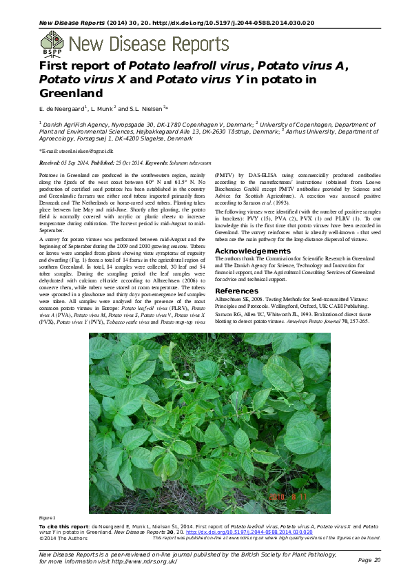 (PDF) First report of Potato leafroll virus , Potato virus A , Potato ...