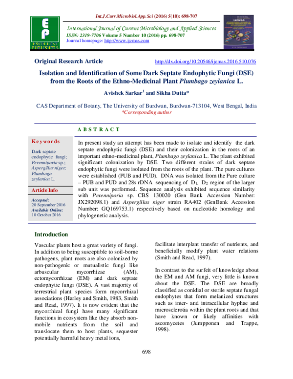 (PDF) Isolation and Identification of Some Dark Septate Endophytic ...