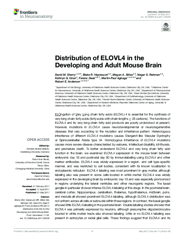 (PDF) Distribution of ELOVL4 in the Developing and Adult Mouse Brain