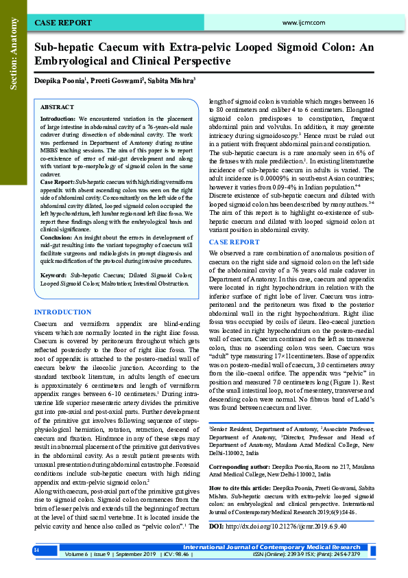 (PDF) Sub-hepatic Caecum with Extra-pelvic Looped Sigmoid Colon: An ...