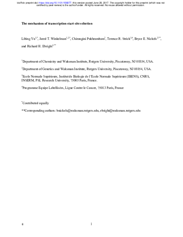 (PDF) The mechanism of transcription start site selection