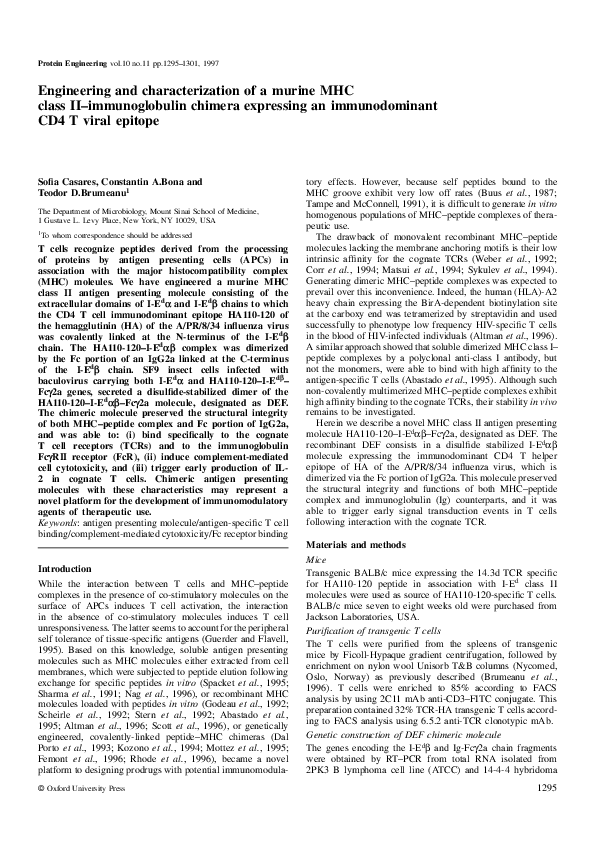 (PDF) Engineering and characterization of a murine MHC class II ...