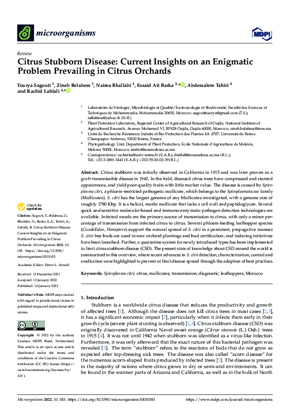 (PDF) Citrus Stubborn Disease: Current Insights on an Enigmatic Problem ...