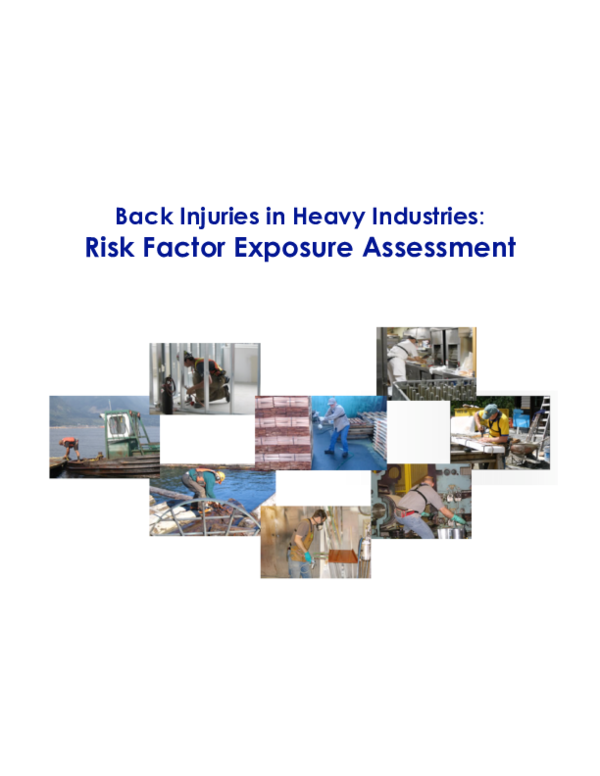 (PDF) Back injuries in heavy industries, Part B: risk factor exposure ...