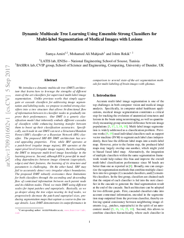 (PDF) Dynamic Multiscale Tree Learning using Ensemble Strong Classifiers for Multi-label ...