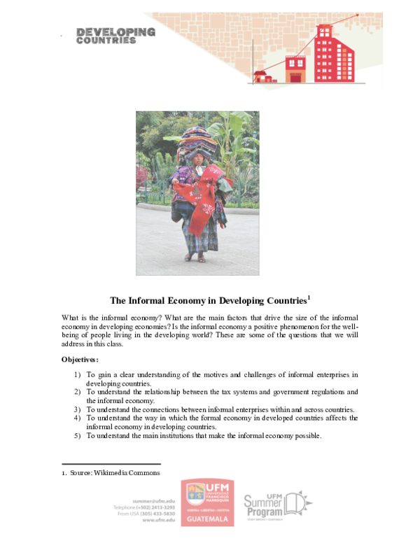 (PDF) The Informal Economy in Developing Countries