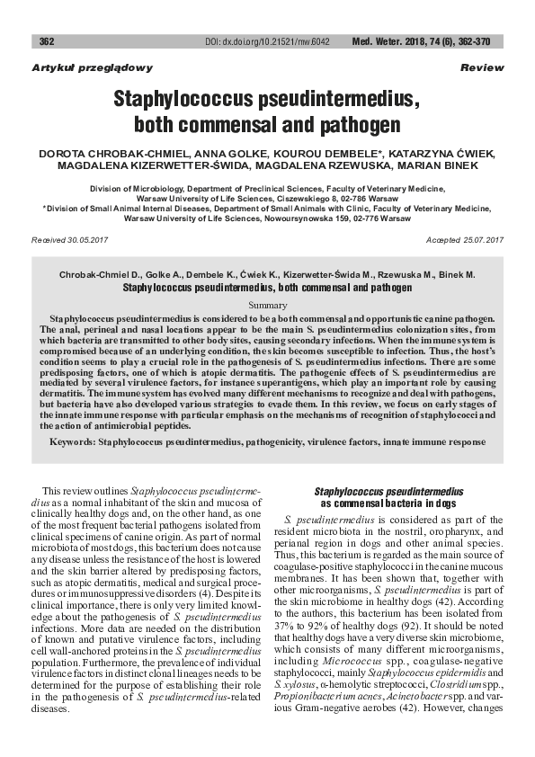 (PDF) Staphylococcus pseudintermedius, both commensal and pathogen