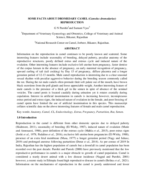 (PDF) SOME FACTS ABOUT DROMEDARY CAMEL (Camelus dromedarius) REPRODUCTION