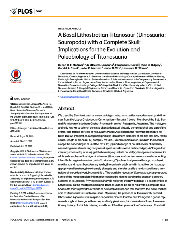 (PDF) A Basal Lithostrotian Titanosaur (Dinosauria: Sauropoda) with a ...