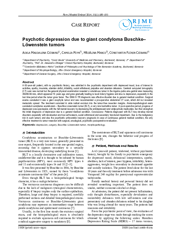 (PDF) Psychotic depression due to giant condyloma Buschke-Löwenstein ...