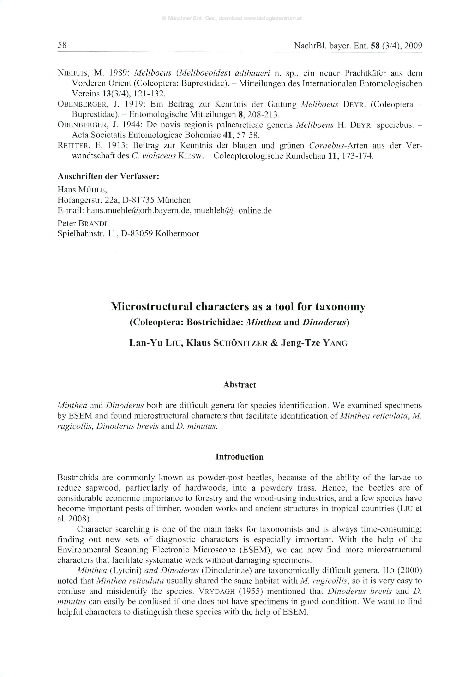 (PDF) Microstructural characters as a tool for taxonomy (Coleoptera ...