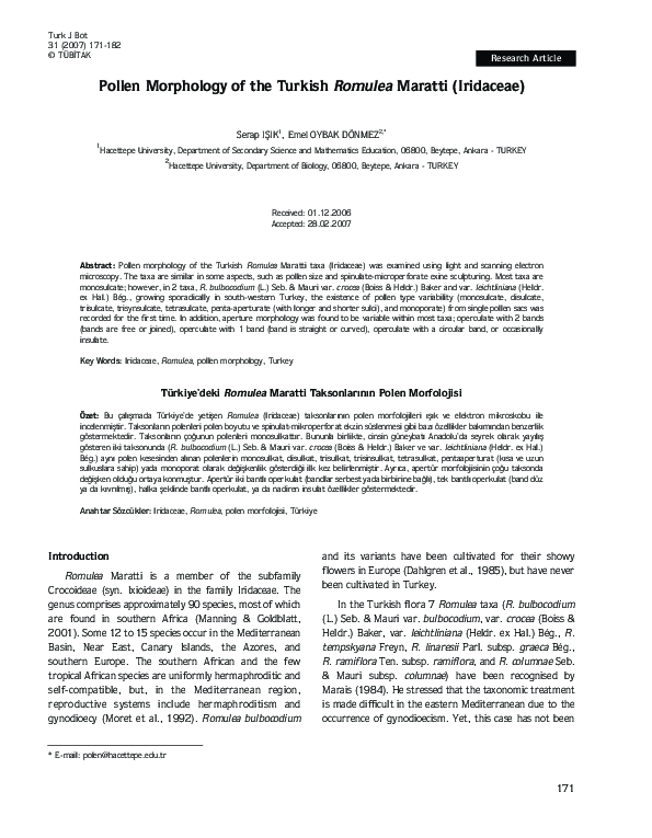 (PDF) Pollen Morphology of the Turkish Romulea Maratti (Iridaceae)