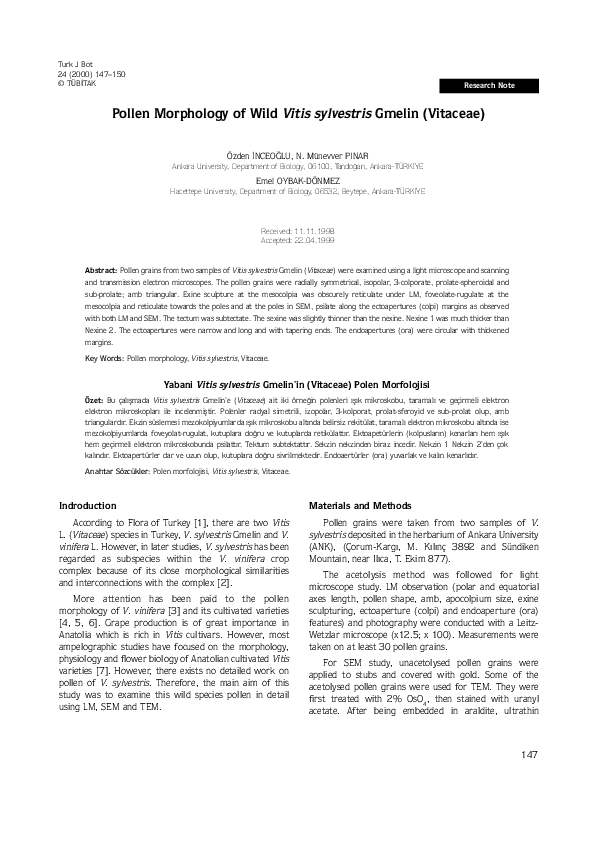 (PDF) Pollen Morphology of Wild Vitis sylvestris Gmelin (Vitaceae)Özden ...