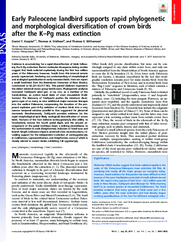 (PDF) Early Paleocene landbird supports rapid phylogenetic and ...