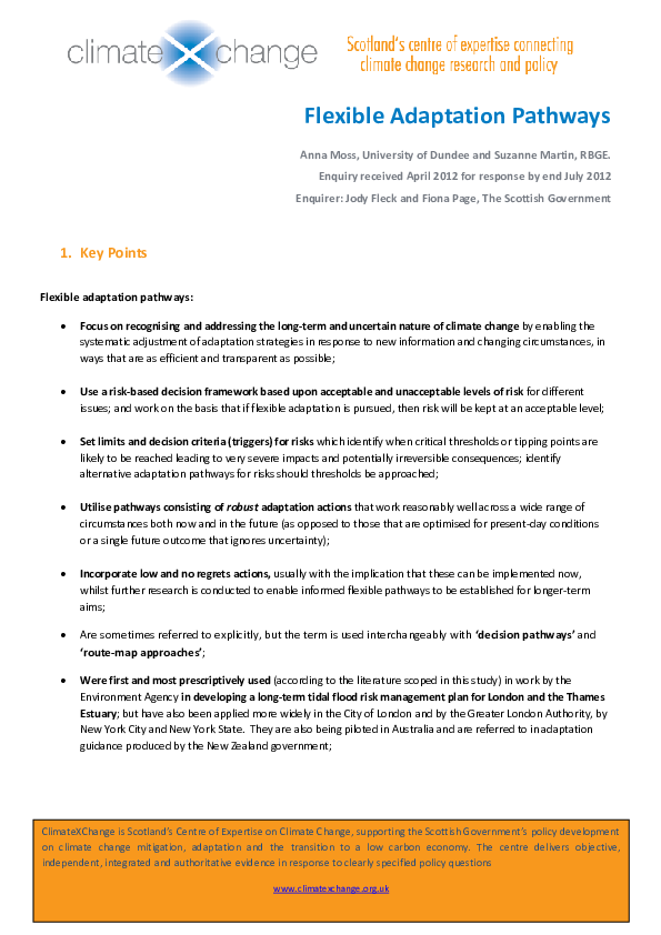 (PDF) Flexible Adaptation Pathways