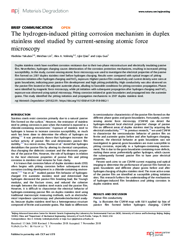 (PDF) The hydrogen-induced pitting corrosion mechanism in duplex ...