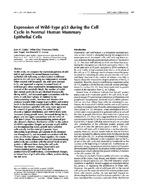 (PDF) Expression of wild-type p53 during the cell cycle in normal human ...