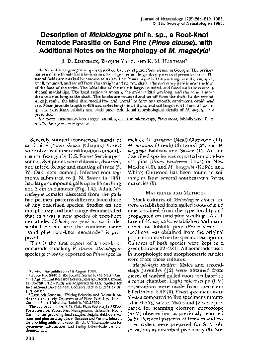 (PDF) Description of Meloidogyne pini n. sp., a Root-Knot Nematode ...