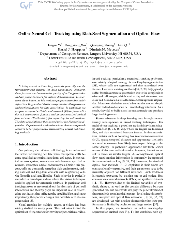 (PDF) Online Neural Cell Tracking Using Blob-Seed Segmentation and ...