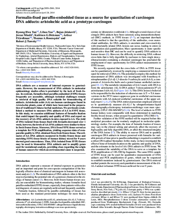 Pdf Formalin Fixed Paraffin Embedded Tissue As A Source For