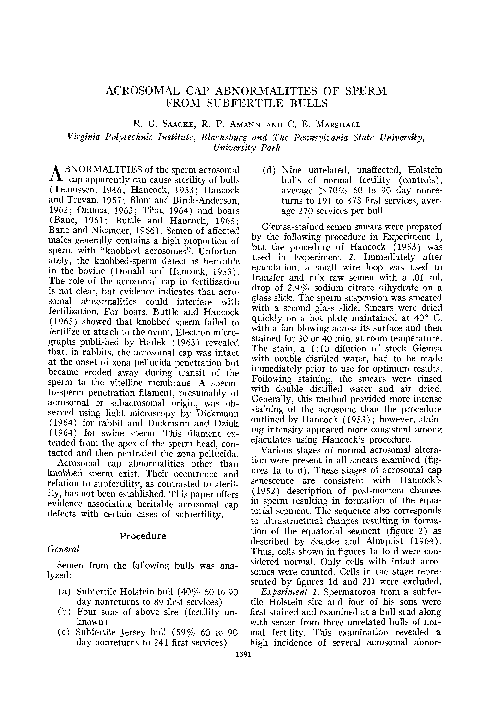 (PDF) Acrosomal Cap Abnormalities of Sperm from Subfertile Bulls | R ...