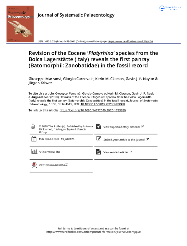 (PDF) Revision of the Eocene ‘Platyrhina’ species from the Bolca ...