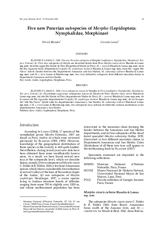 (PDF) Five new Peruvian subspecies of Morpho (Lepidoptera: Nymphalidae ...