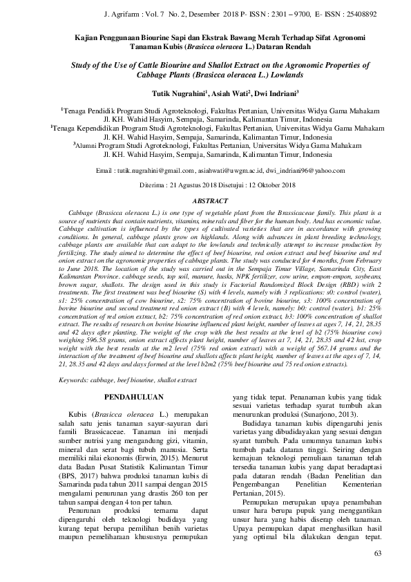 (PDF) Kajian Penggunaan Biourine Sapi dan Ekstrak Bawang Merah Terhadap ...