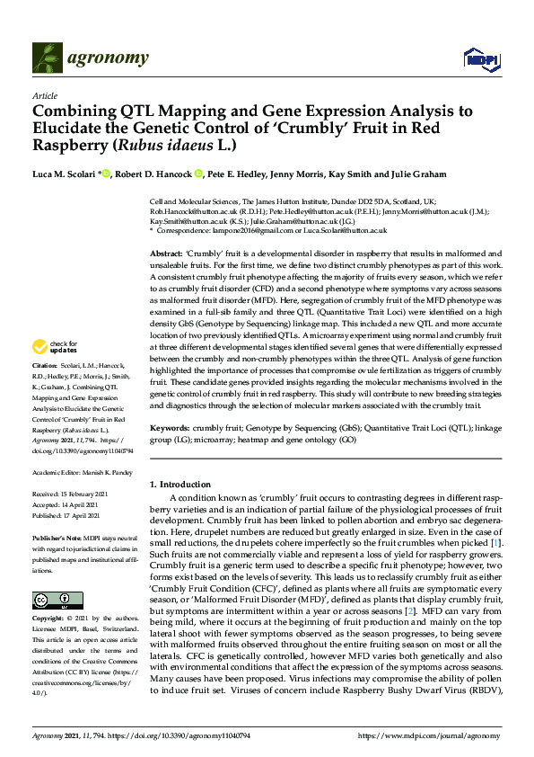 (PDF) Genetic Control of Crumbly Fruit in Raspberry