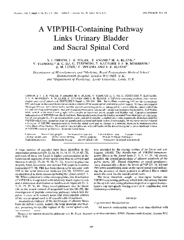 (PDF) A VIP/PHI-containing pathway links urinary bladder and sacral ...