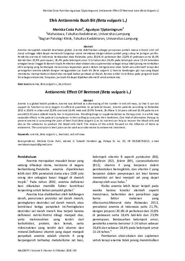 (PDF) Efek Antianemia Buah Bit (Beta vulgaris L.)