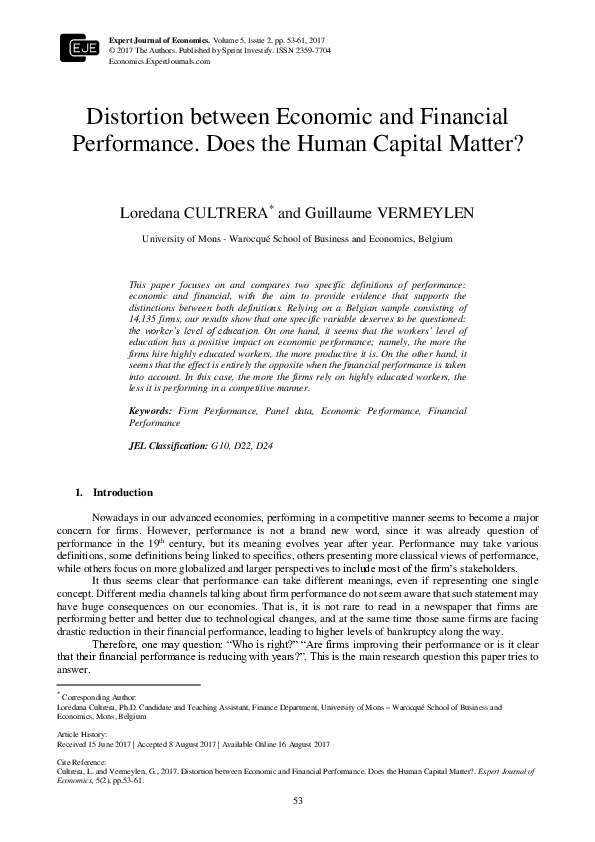 (PDF) Distortion between Economic and Financial Performance. Does the ...