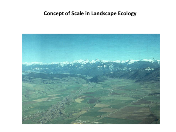 (PDF) Concepts of Scale in Landscape Ecology
