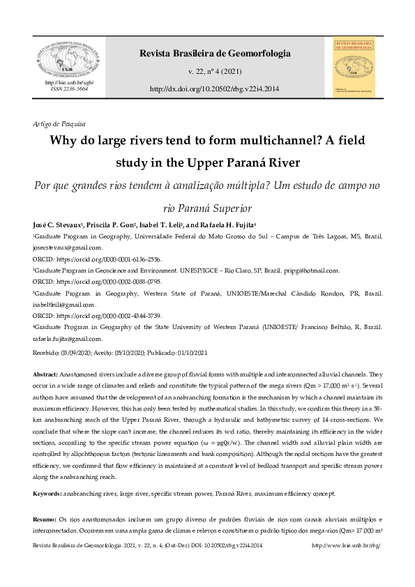 (PDF) Why do large rivers tend to form multichannel? A field study in ...