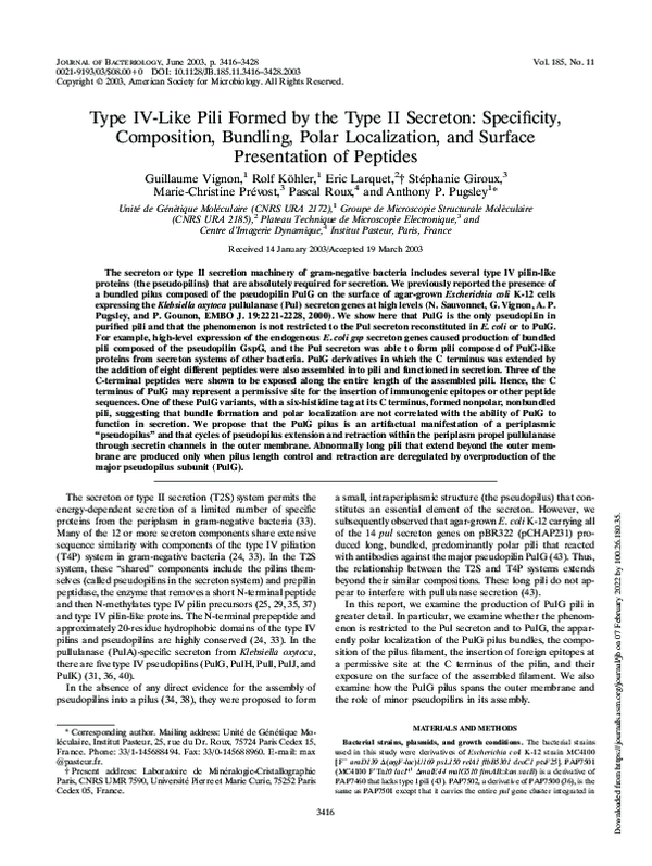 (PDF) Type IV-like pili formed by the type II secreton: specificity ...