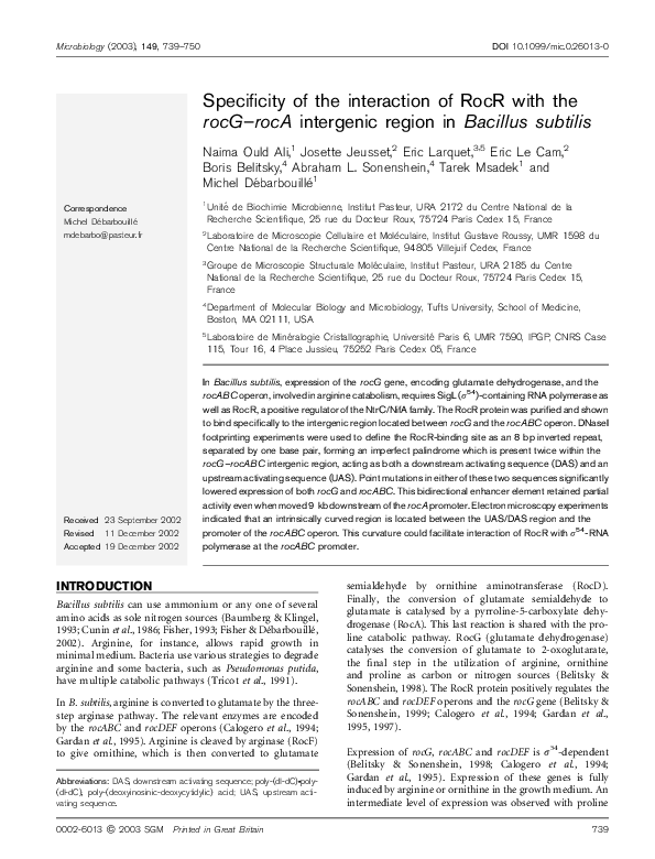 (PDF) Specificity of the interaction of RocR with the rocG-rocA ...
