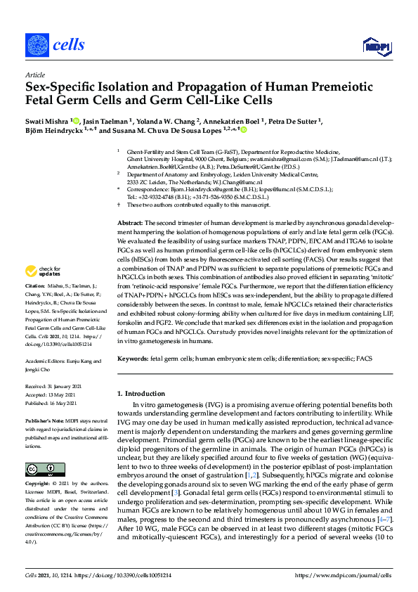 Pdf Sex Specific Isolation And Propagation Of Human Premeiotic Fetal Germ Cells And Germ Cell