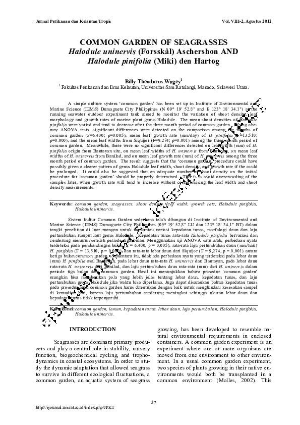 (PDF) COMMO " GARDE " OF SEAGRASSES Halodule uninervis ( Forsskål ...