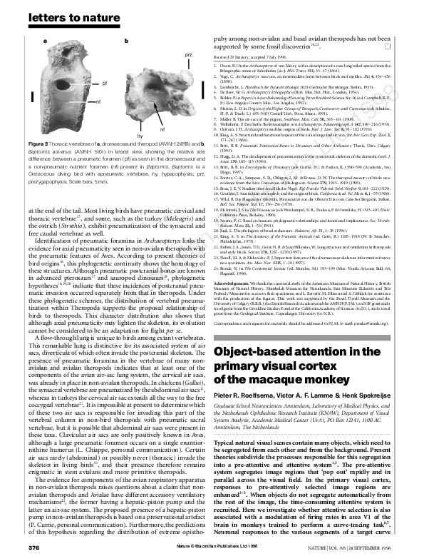 Pdf Object Based Attention In The Primary Visual Cortex Of The