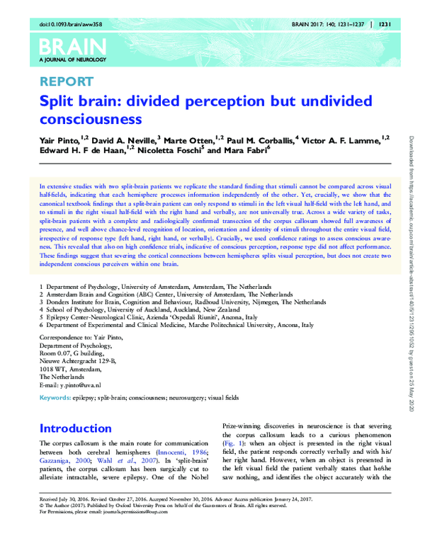 (PDF) Split brain: divided perception but undivided consciousness