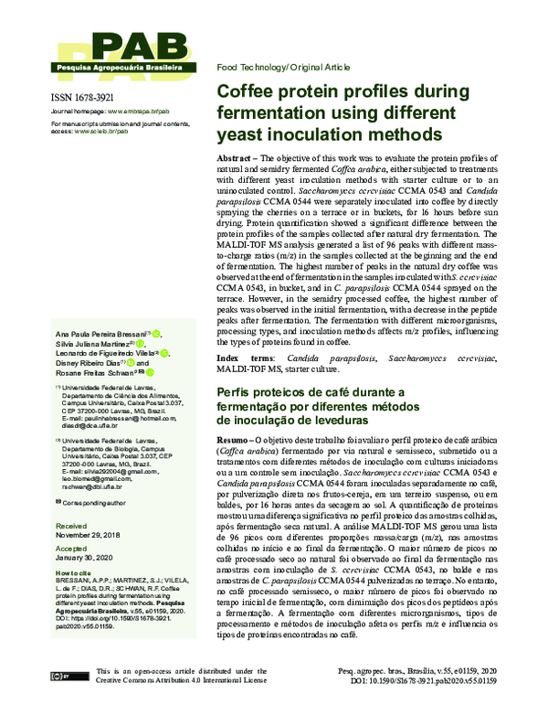 (PDF) Coffee protein profiles during fermentation using different yeast ...