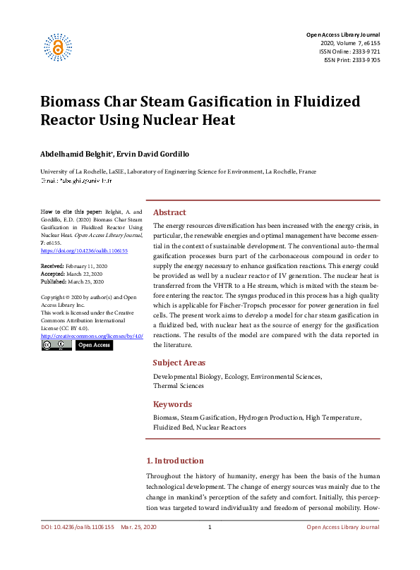 (PDF) Biomass Char Steam Gasification in Fluidized Reactor Using ...