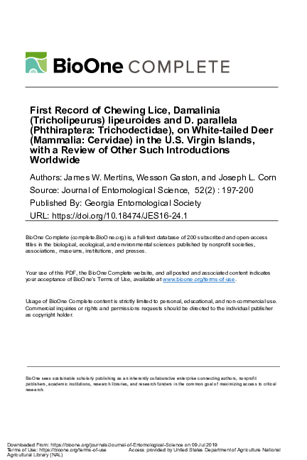 (PDF) First Record of Chewing Lice, Damalinia (Tricholipeurus ...