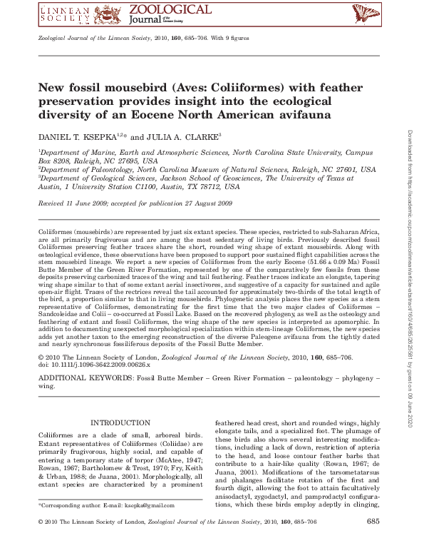 (PDF) New fossil mousebird (Aves: Coliiformes) with feather ...