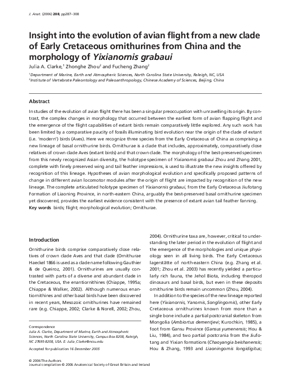 (PDF) Insight into the evolution of avian flight from a new clade of ...