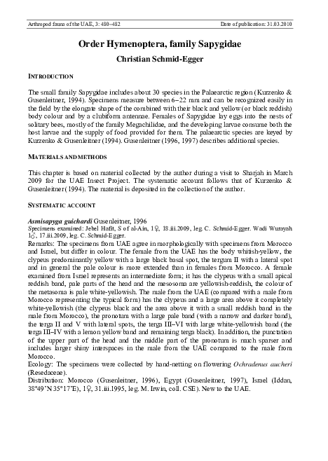 (PDF) Order Hymenoptera, family Sapygidae