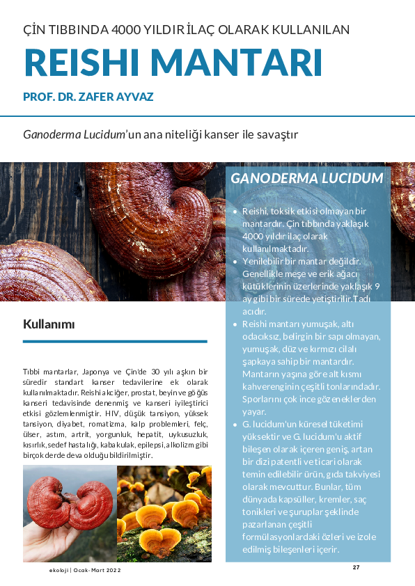 (PDF) REISHI MANTARI